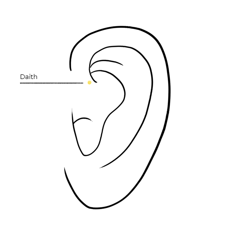 Quality Piercing Services and Prices and Professional Studio
