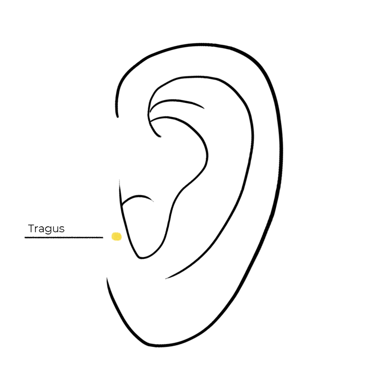 Quality Piercing Services and Prices and Professional Studio