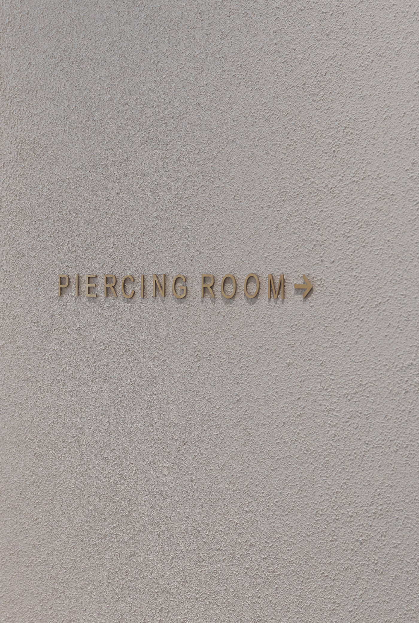 Current Piercing Price List and Professional Studio Costs